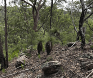 Hiking Trails Lockyer National Park - Murphys Creek Escape